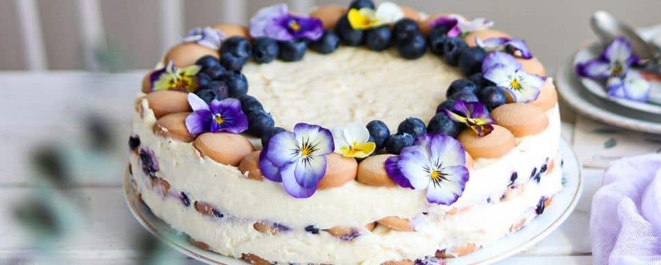 Dort Malakov | Košík.cz