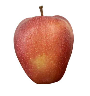 Jablko Gala, 1 ks | Košík.cz